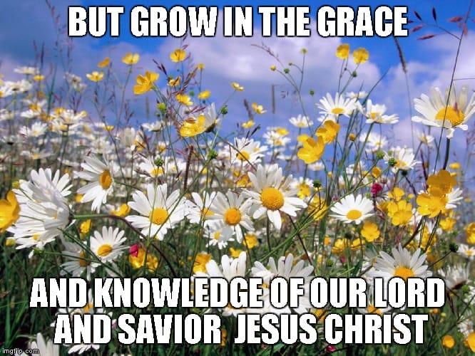 Three ways you can grow in grace