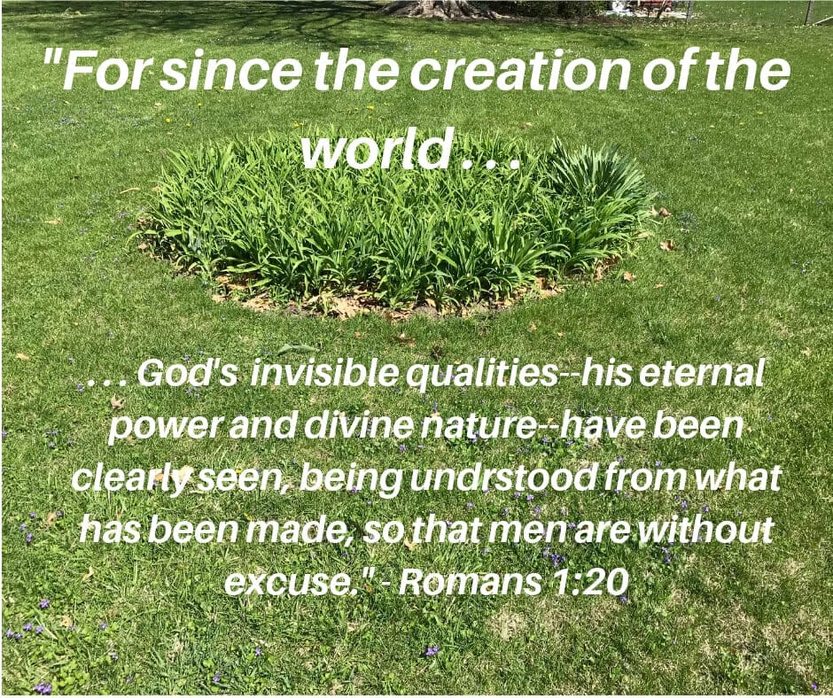 CREATION PROMPTS: SPRING AND THE RESURRECTION OF JESUS